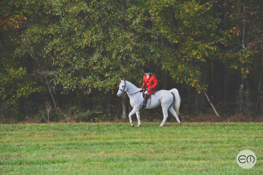 Tally Ho! A Georgia Fox Hunting Photo Essay by Elena Maas | HORSE NATION