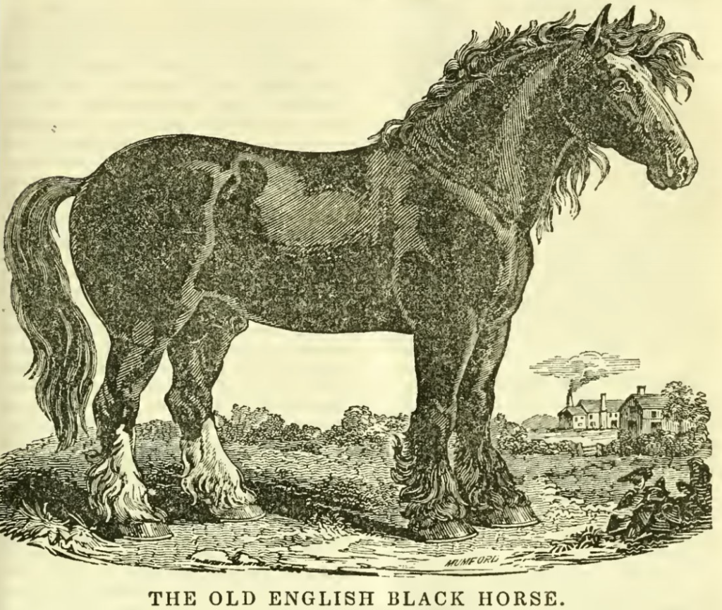 I Love Lists Friday: 10 Extinct Horses | HORSE NATION