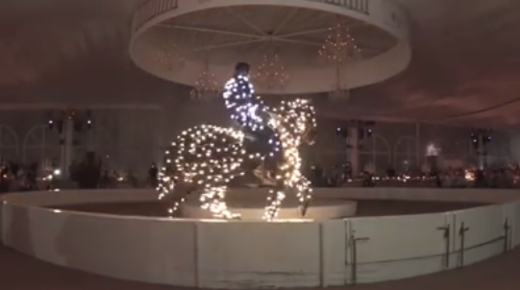 Dressage Horse as Christmas Tree | HORSE NATION