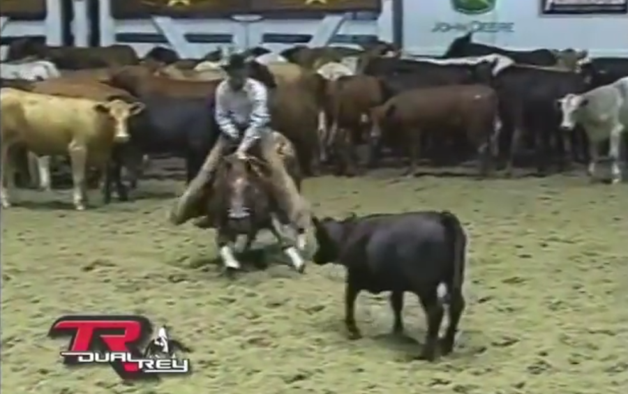 SpectraVET Classic Perf. of the Week: TR Dual Rey | HORSE NATION