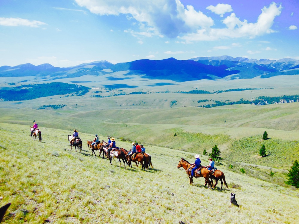 Go West at Full Speed: Silver Spur Ranch’s Horse Drives | HORSE NATION