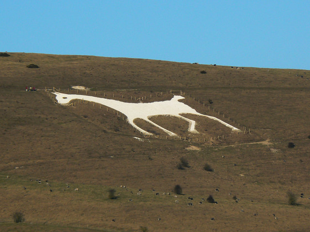 The Chalk Horses of Wiltshire | HORSE NATION