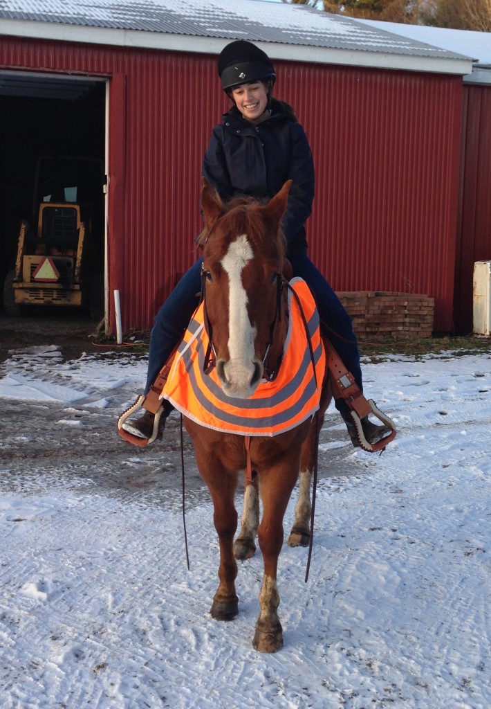 Product Review: Horze Reflective Wrap Riding Sheet | HORSE NATION