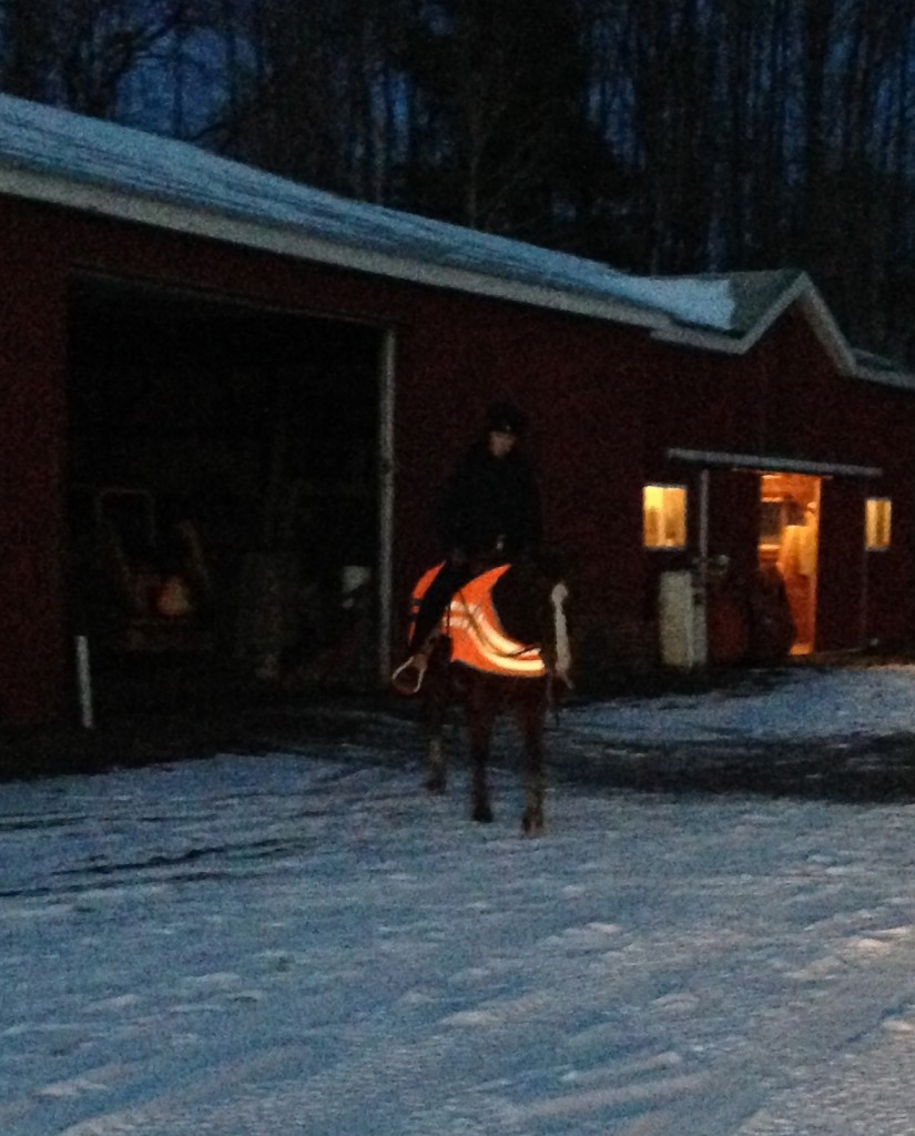 Product Review: Horze Reflective Wrap Riding Sheet | HORSE NATION