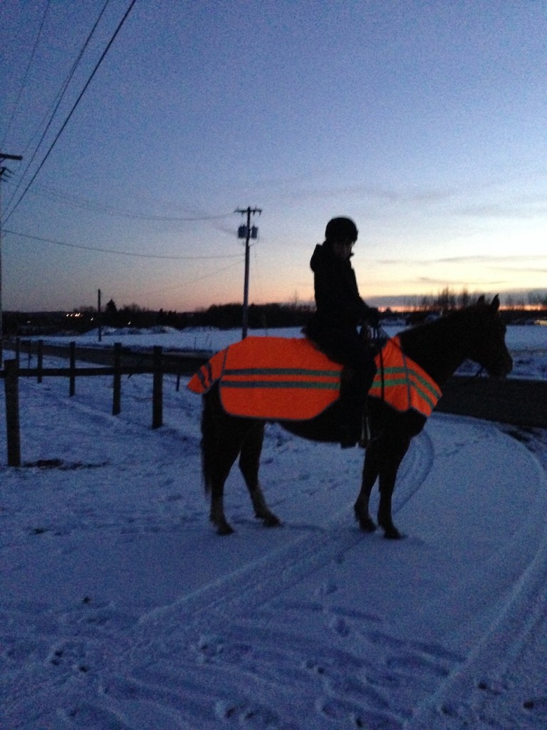 Product Review: Horze Reflective Wrap Riding Sheet | HORSE NATION