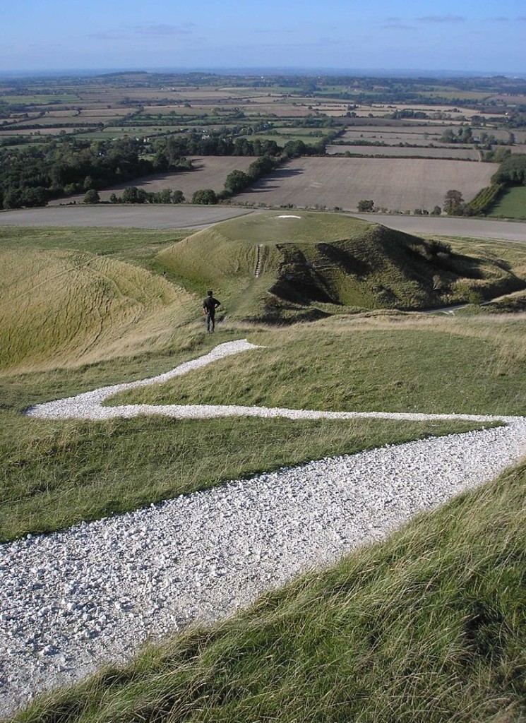 The Chalk Horses of Wiltshire | HORSE NATION