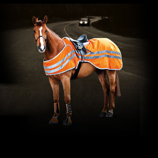 Product Review: Horze Reflective Wrap Riding Sheet | HORSE NATION