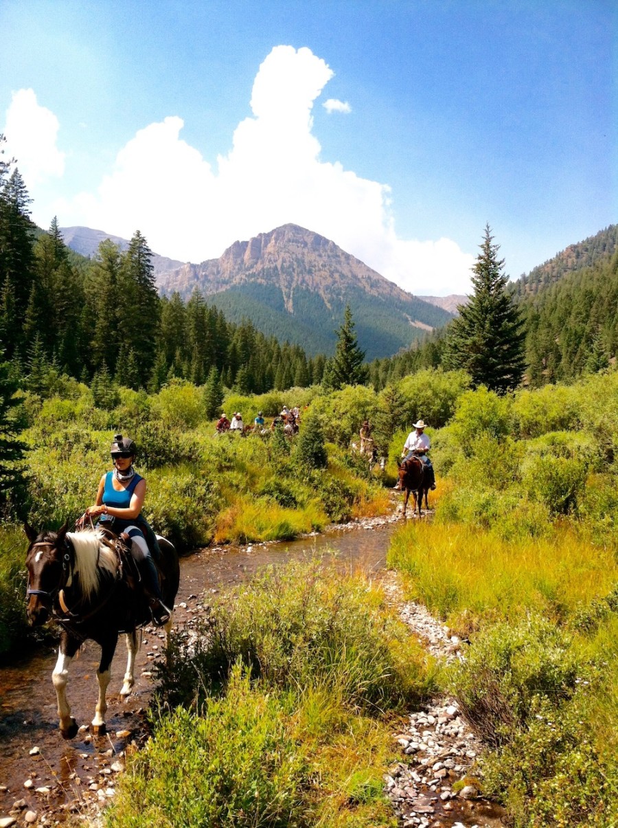 Go West at Full Speed: Silver Spur Ranch’s Horse Drives | HORSE NATION