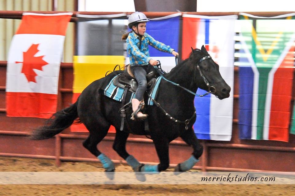 Thursday Morning Mustang: America’s Versatile Horse | HORSE NATION