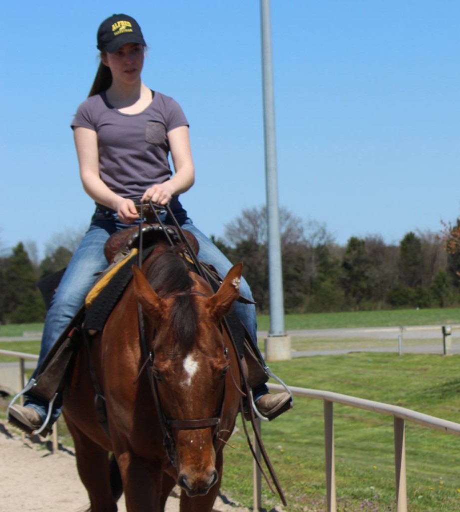 The Academic Equestrian: All Good Things Must End | HORSE NATION