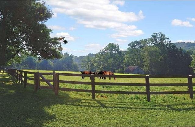 Fantasy Farm Tuesday: Equestrian Haven in the Woods | HORSE NATION