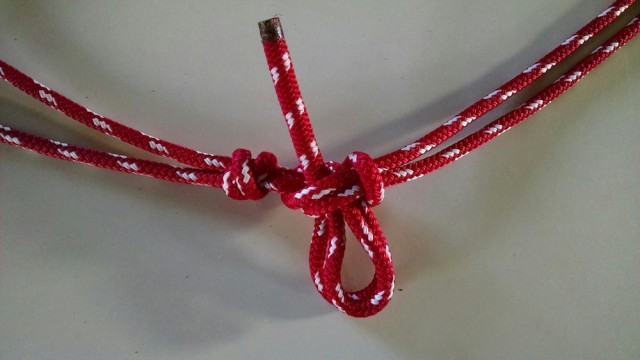 Horse Nation DIY with DMVentions: Breakaway Rope Halters & Quick ...