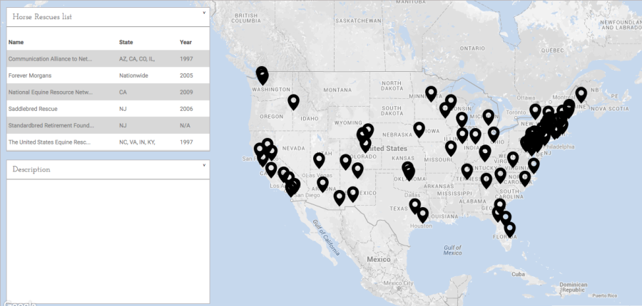Find a Horse Rescue With This Interactive Map | HORSE NATION