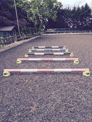 2016 Best of HN #14: Barnhack Alert: Cheap, Genius, and Hilarious Trot ...