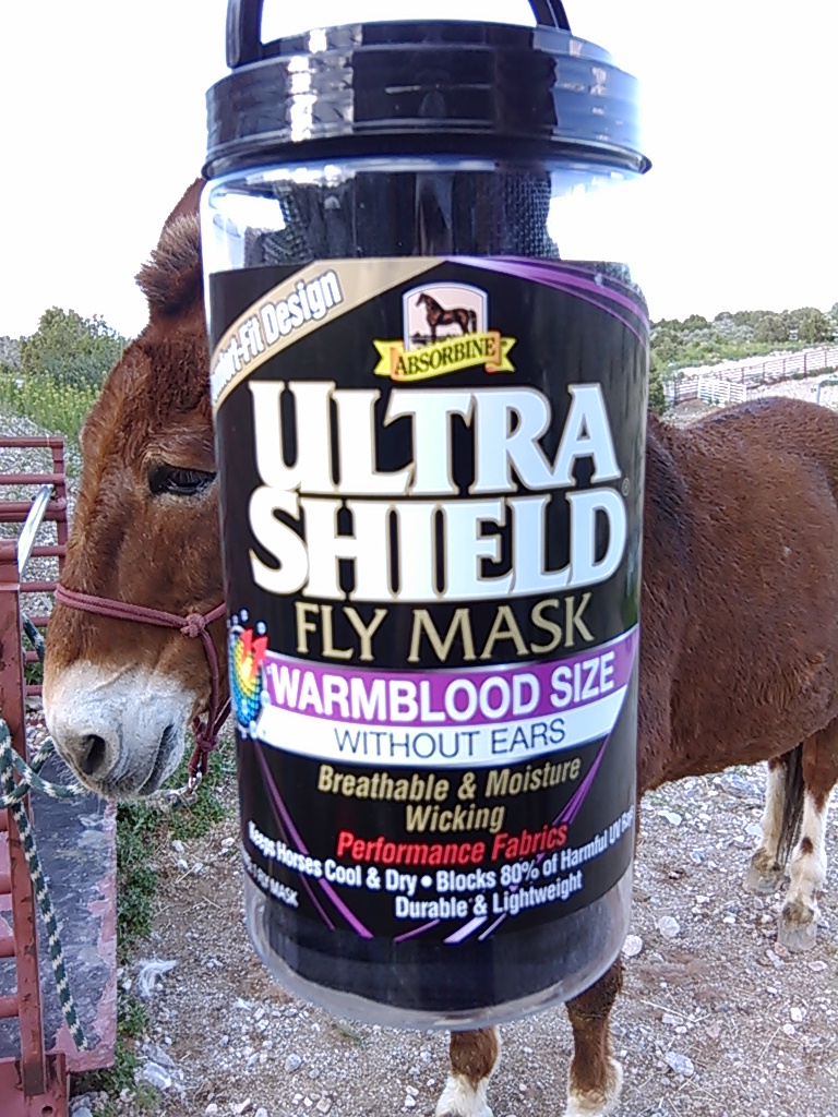 Product Review: Absorbine UltraShield Fly Mask | HORSE NATION