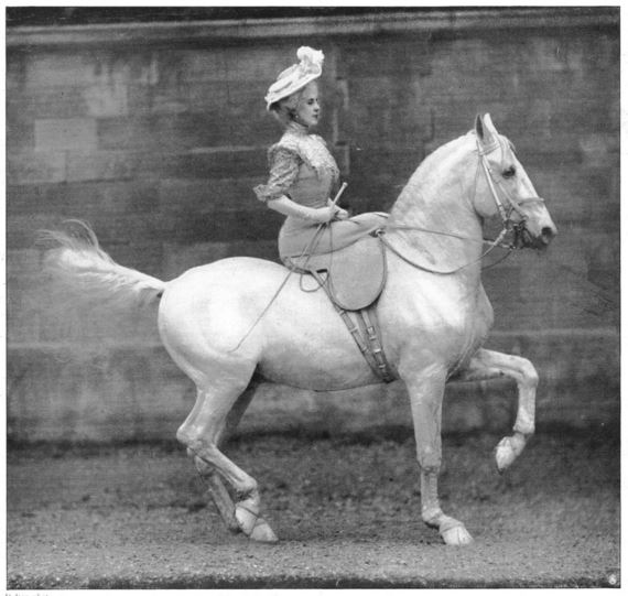 Horses in History: Therese Renz, Equine Circus Performer Extraordinaire ...