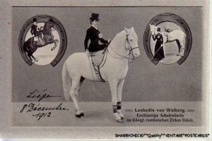 Horses in History: Therese Renz, Equine Circus Performer Extraordinaire ...