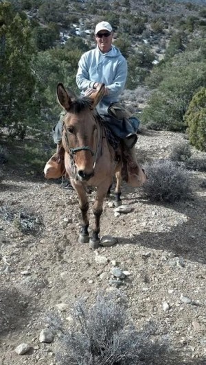 #TBT: 20 Things Mule Owners Are Tired of Hearing | HORSE NATION