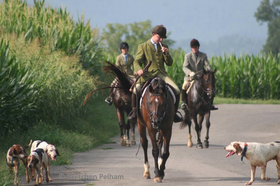 The Cub Hunting Checklist: A Guide and Photo Essay | HORSE NATION