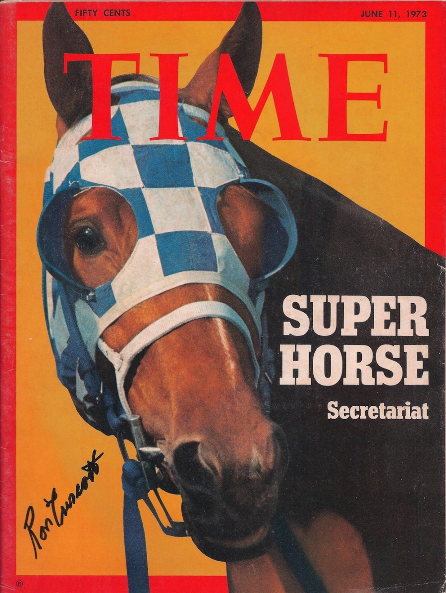 ’43 Years Later, I Have Never Again Seen Such a Magnificent Horse’: Q&A ...