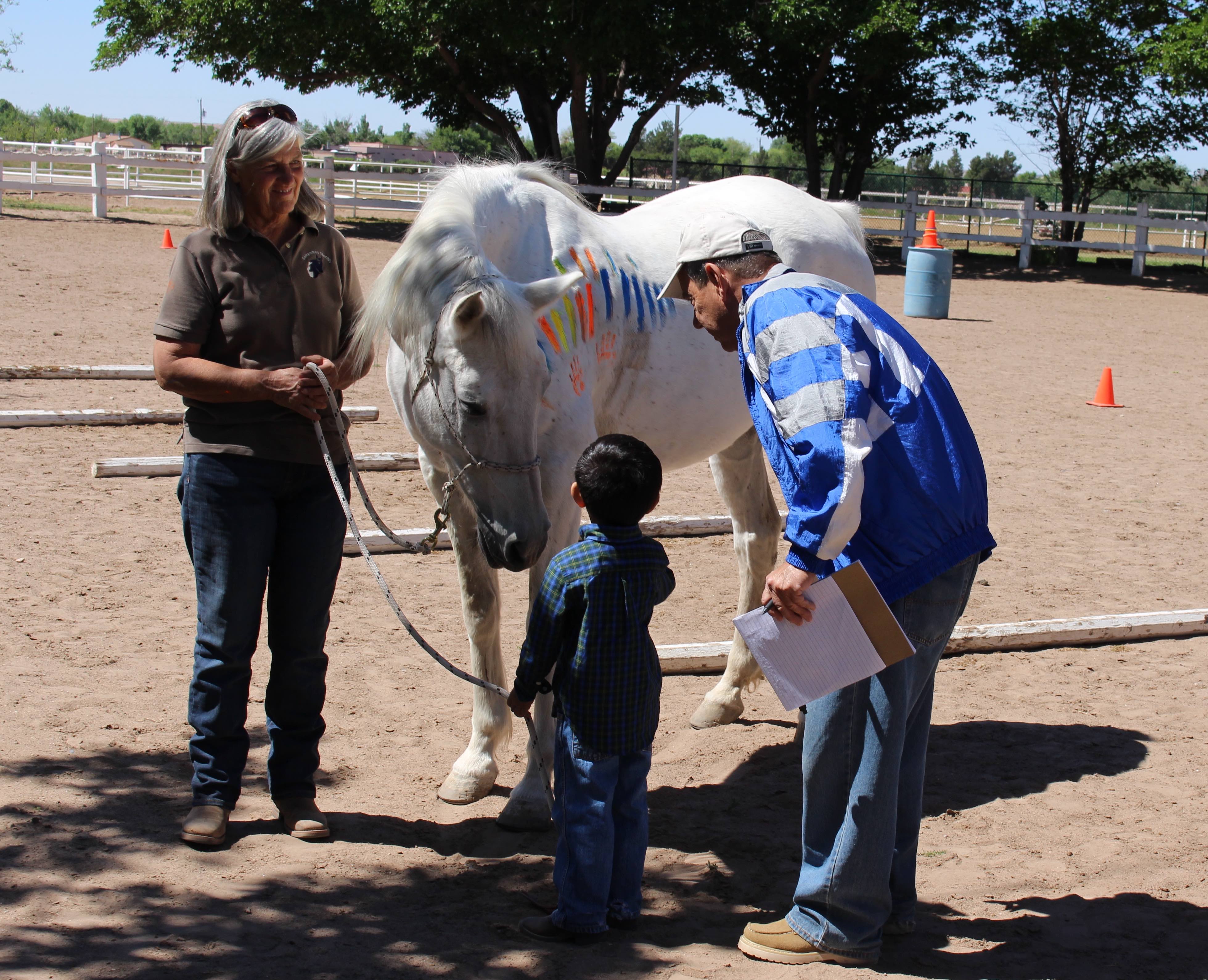 Standing Ovation by Ovation Riding: Compadres Therapy, Inc. | HORSE NATION