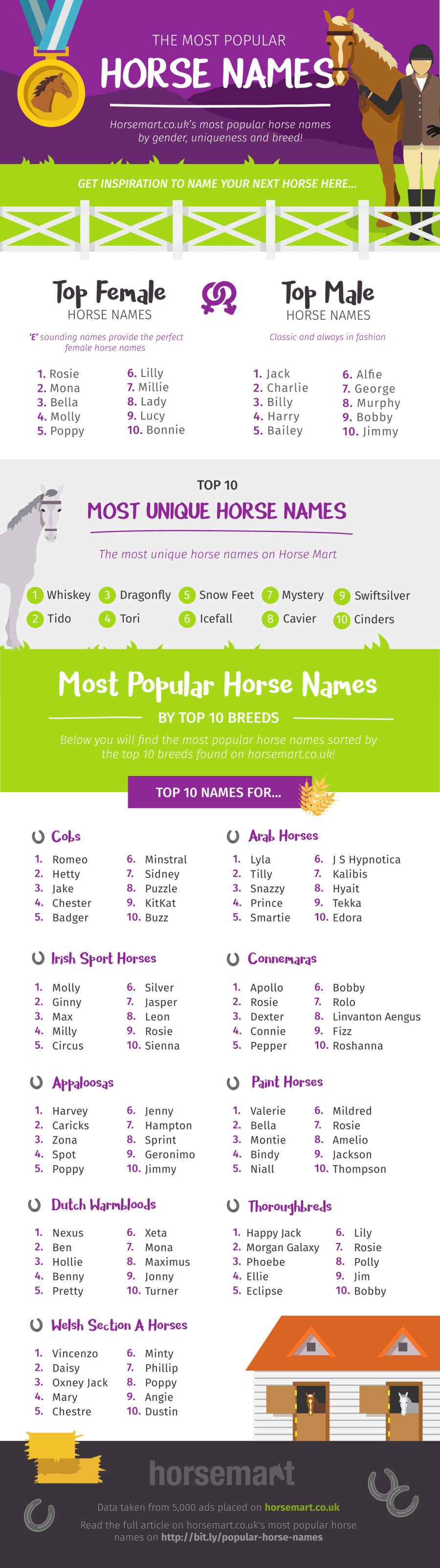 Infographic: The UK’s Most Popular Horse Names | HORSE NATION