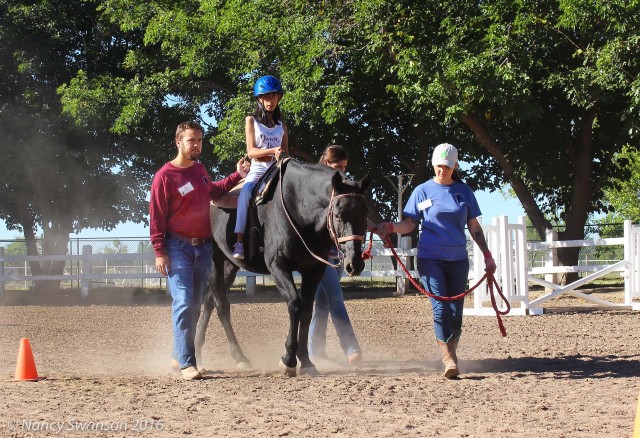 Standing Ovation by Ovation Riding: Compadres Therapy, Inc. | HORSE NATION