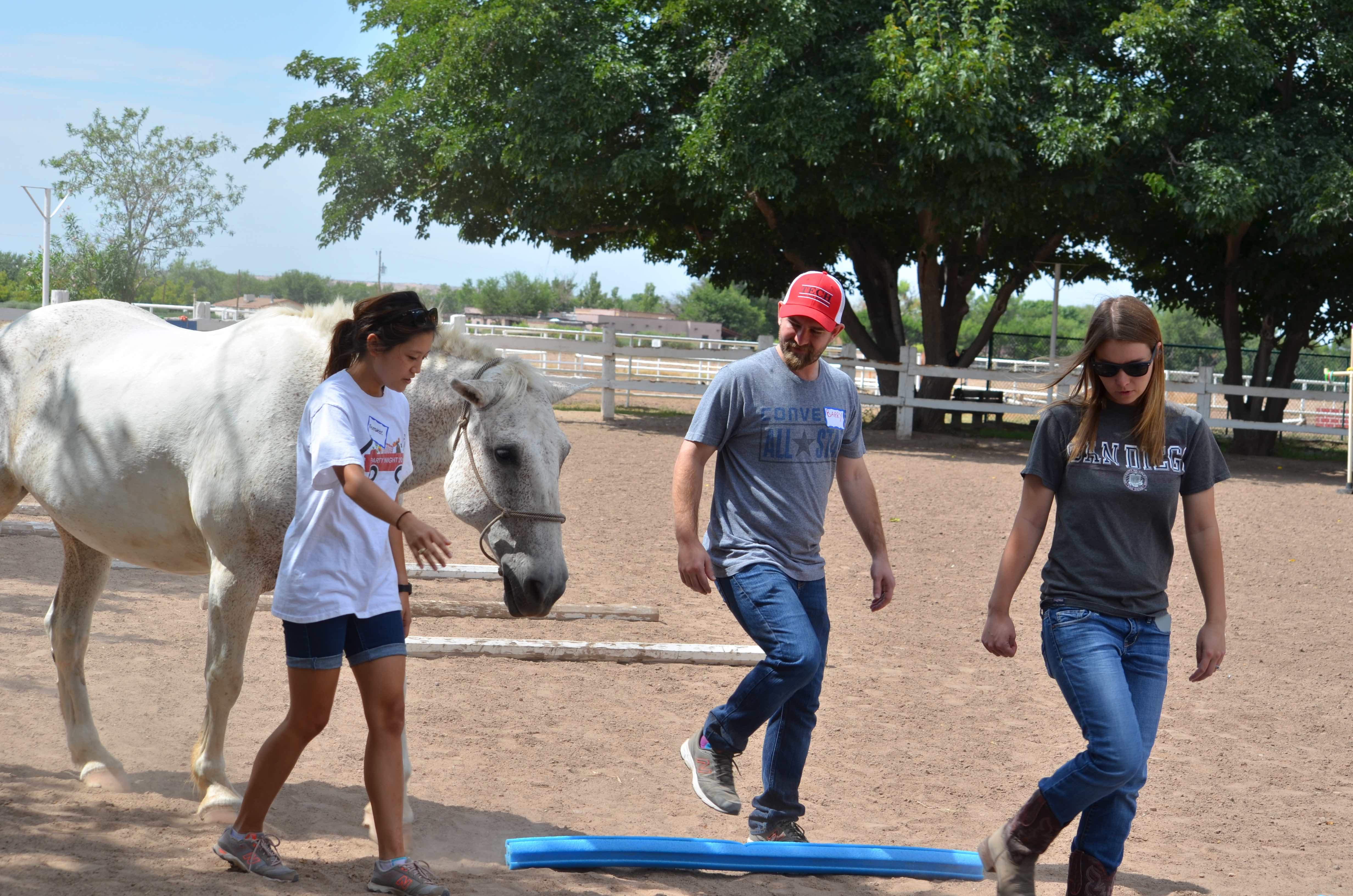 Standing Ovation by Ovation Riding: Compadres Therapy, Inc. | HORSE NATION