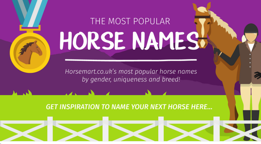 Infographic: The UK’s Most Popular Horse Names | HORSE NATION