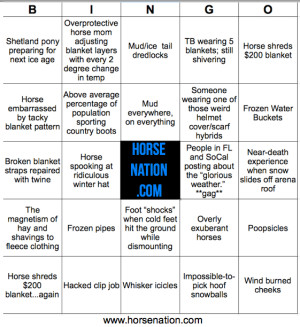 Winter Bingo for Equestrians | HORSE NATION