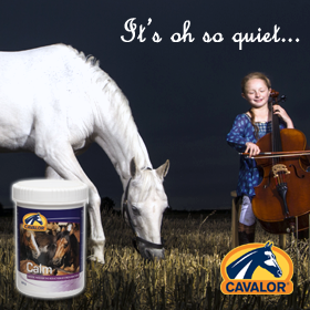 Horses in History: Stroller the Olympic Wonder Pony | HORSE NATION