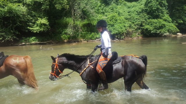 Crossing Disciplines & Rivers: A Dressage Rider Tries Endurance, Part ...