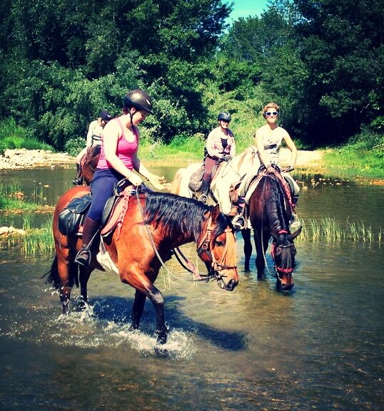 The Muck Bucket List: One Equestrian’s Global Quest | HORSE NATION