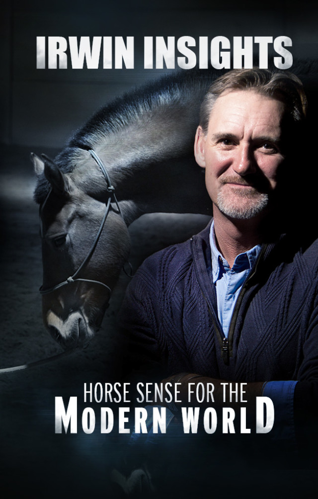 ‘Horse Sense For the Modern World’: A Conversation With Chris Irwin ...
