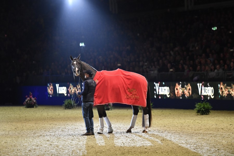 Video & Photo Gallery: Thank You, Valegro | HORSE NATION