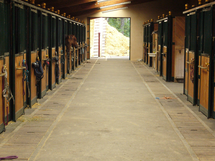 Equine Law: Keeping Your Barn ‘Stable’ With Rules | HORSE NATION