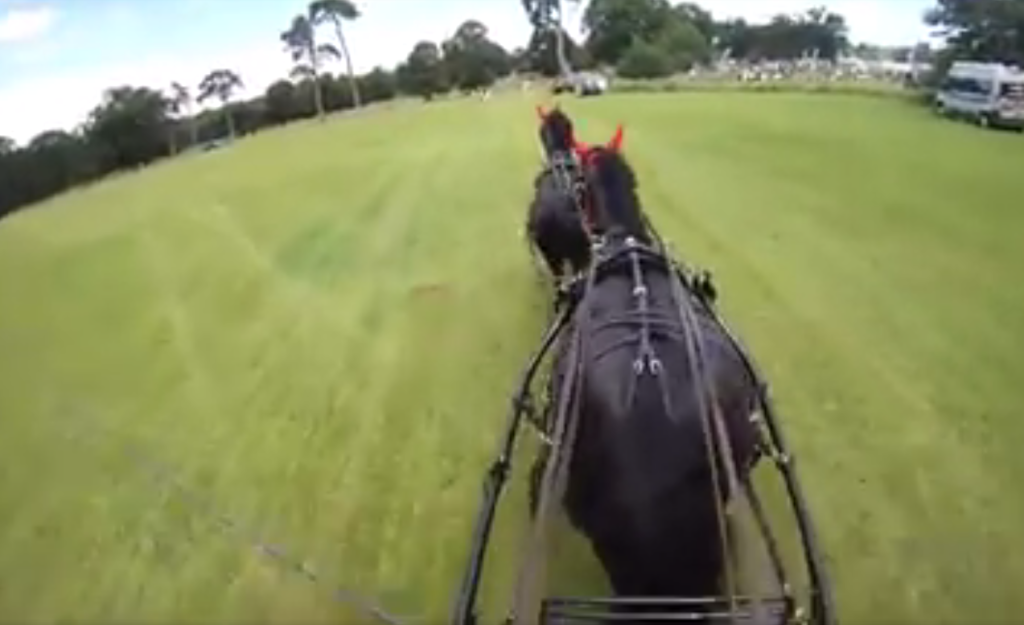 World Equestrian Brands Helmet Cam: Tandem Driving | HORSE NATION