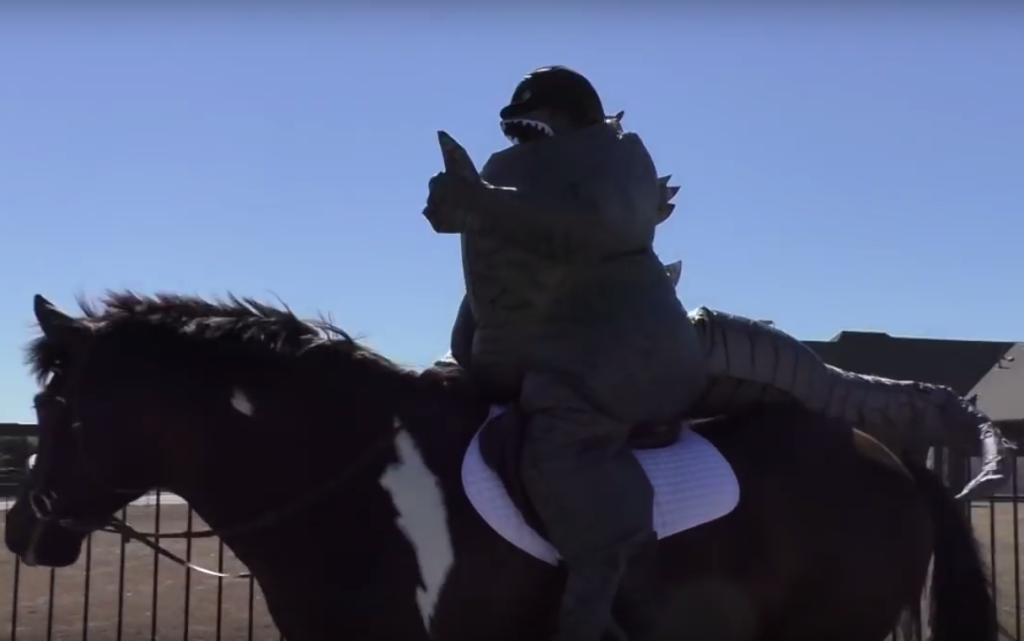 Godzilla: Friend of Horses | HORSE NATION