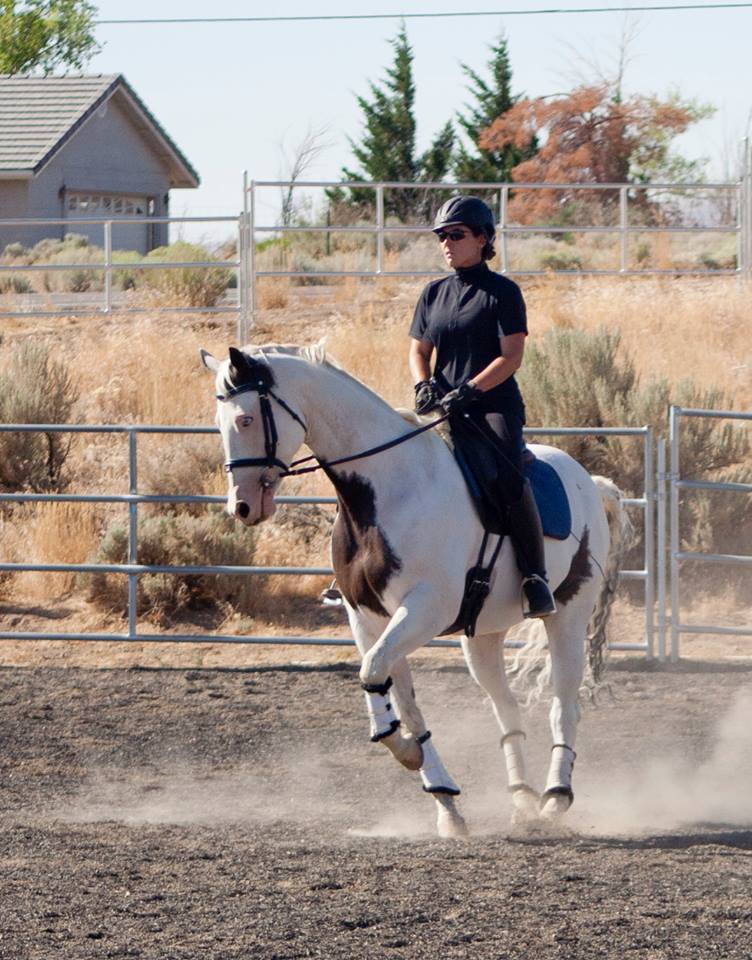 Product Review: Absorbine Bute-Less Performance | HORSE NATION