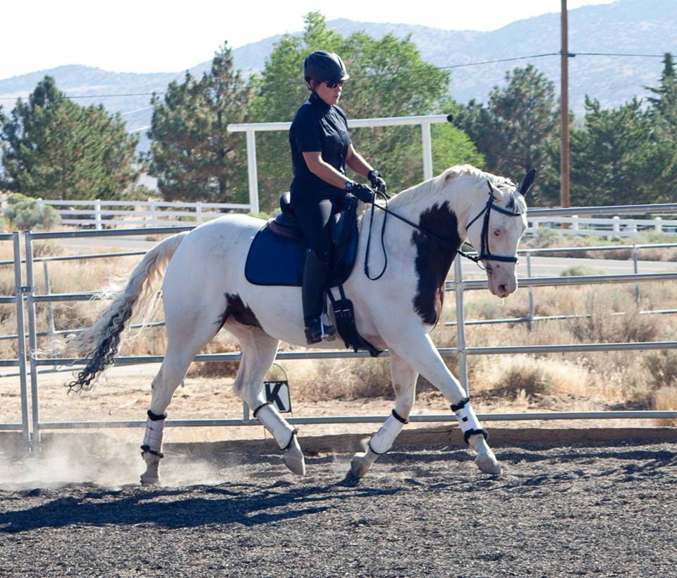 Product Review: Absorbine Bute-Less Performance | HORSE NATION