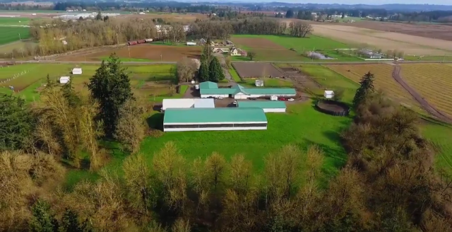 Fantasy Farm Thursday: Narnia Farms. Seriously. | HORSE NATION