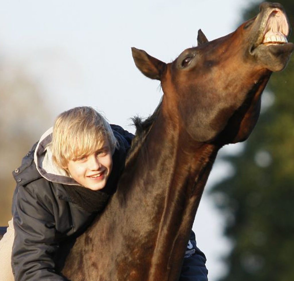 Q&A With Liberty Trainer & Model Jesse Drent | HORSE NATION