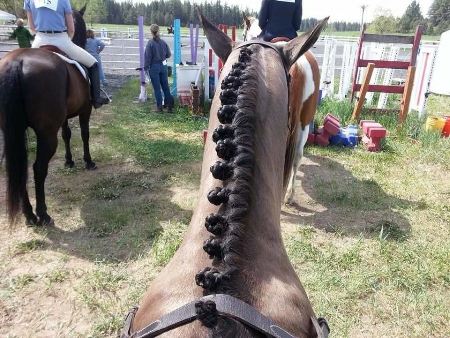 Photo Challenge: 25 Fabulous Mane Jobs | HORSE NATION