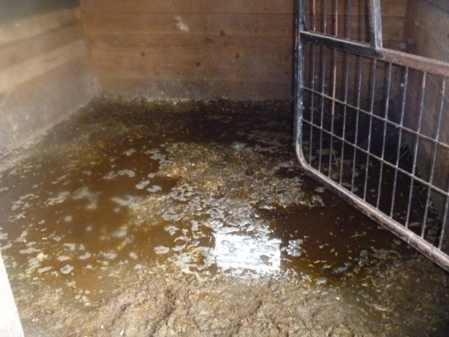 Barn From the Ground Up, Part 2: Foundations and Footing | HORSE NATION