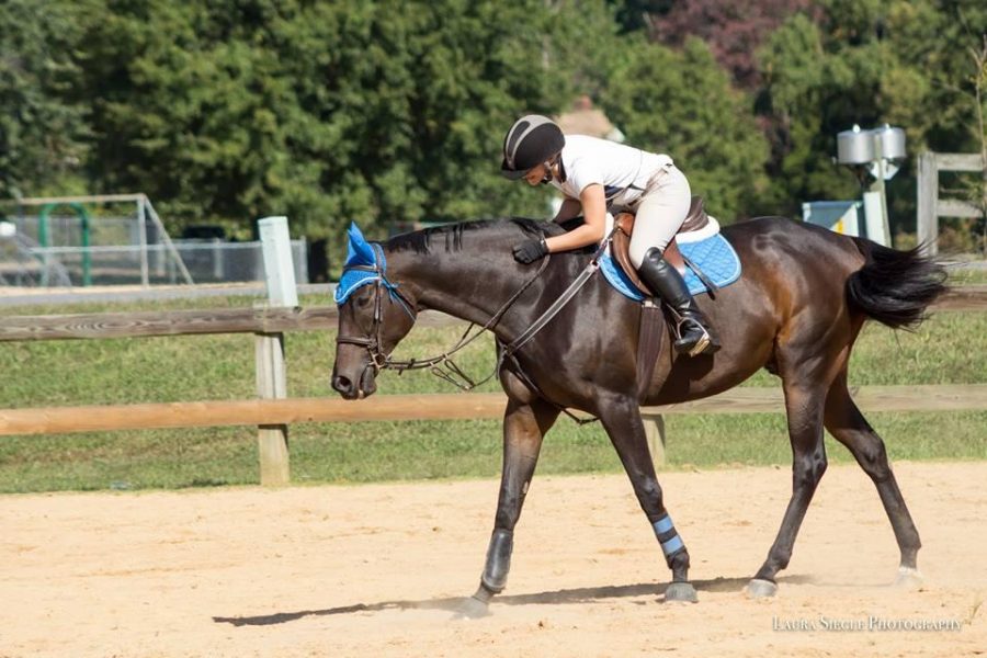 Thoroughbred Incentive Program Youth Ambassador of the Month | HORSE NATION