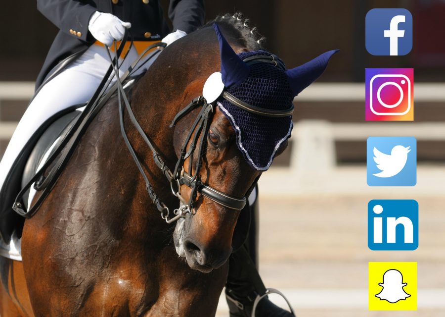 Equestrian Social Media: Dos & Don’ts for the Professional | HORSE NATION