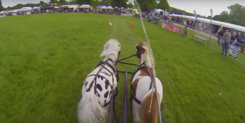 World Equestrian Brands HelmetCam: Scurry Race | HORSE NATION