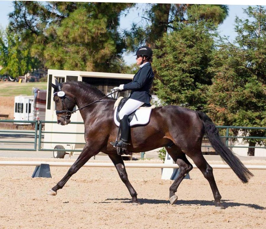 Editorial: On Vorst & the Court of Public Opinion: How Do We Move ...