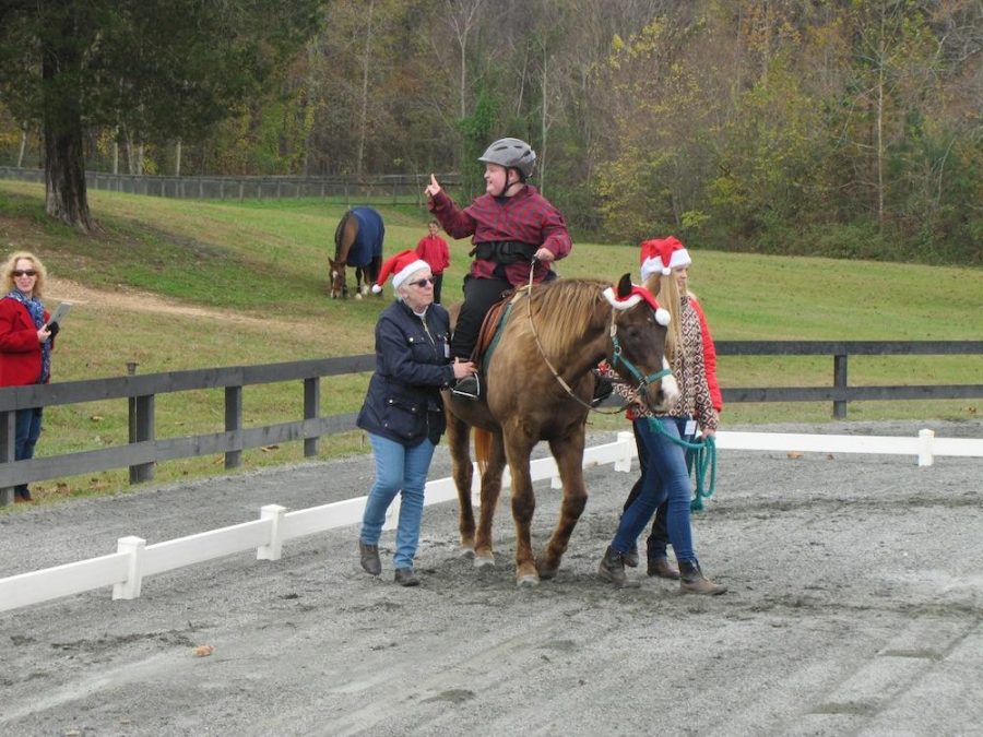 Standing Ovation by Ovation Riding: A Year of Standing Ovations | HORSE ...