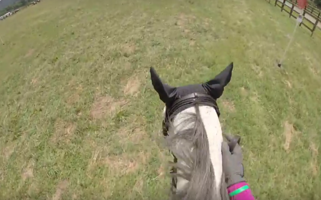 World Equestrian Brands Helmet Cam | HORSE NATION